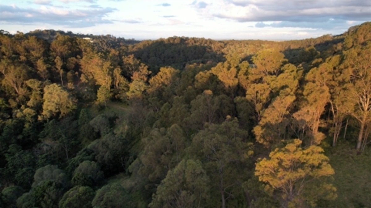 A new era of habitat restoration and conservation - City of Moreton Bay