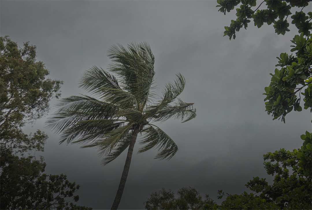 Update: Tropical Cyclone Alfred - City of Moreton Bay