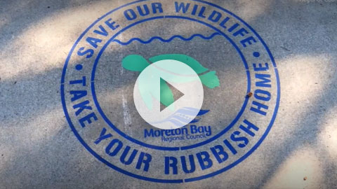 Environmental sustainability - City of Moreton Bay